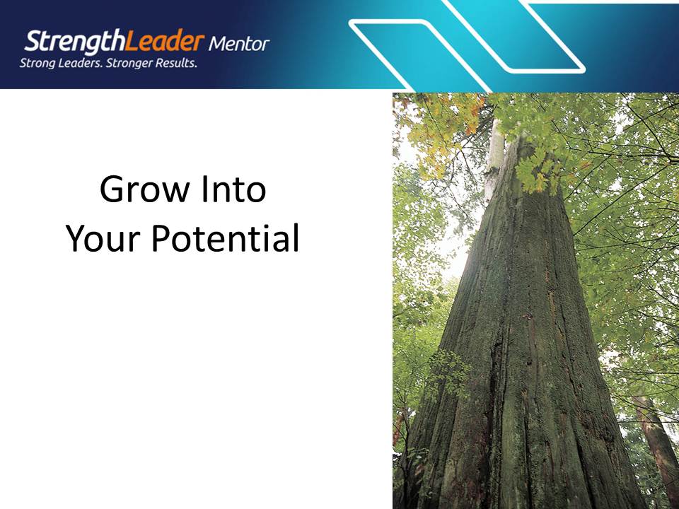 Grow Into Your Potential | Strength Leader